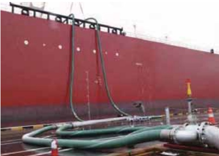 Dolphinflex - Green Composite